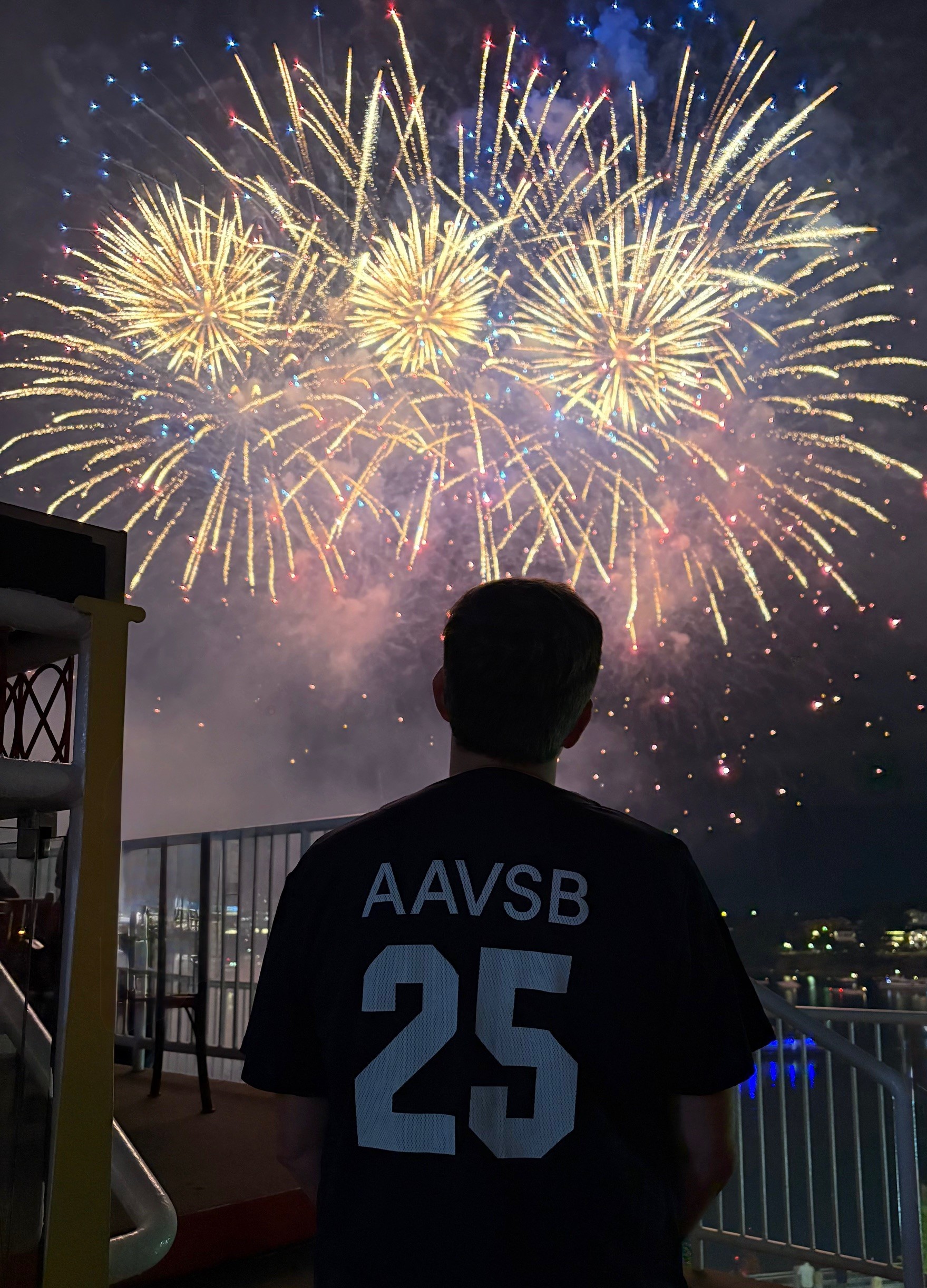 2025 Annual Meeting and Conference - AAVSB